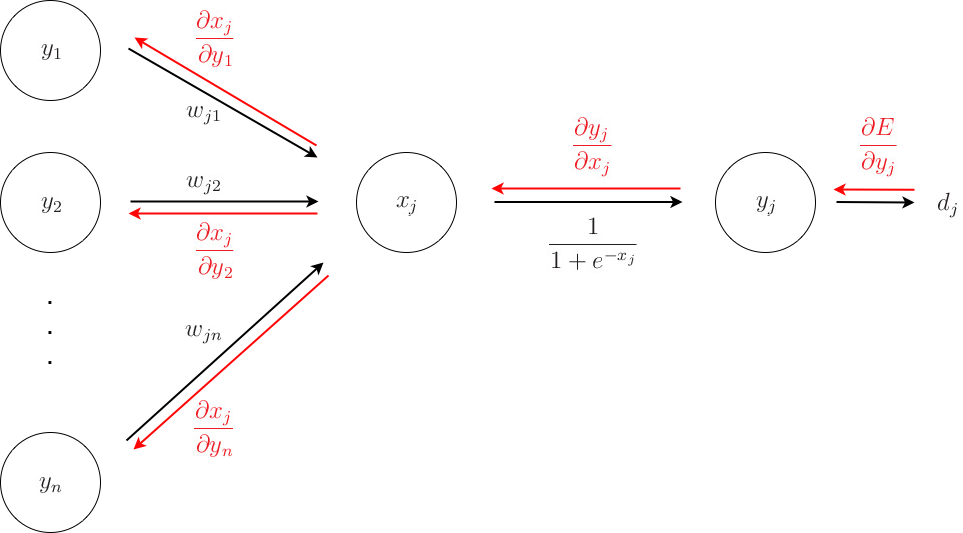 Back Propagation | DE: LIM